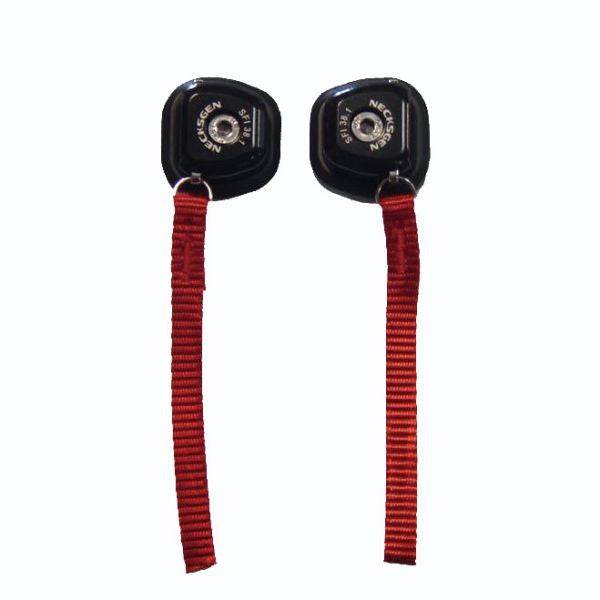 Head & Neck Restraints - Safety Equipment for Professional Racing